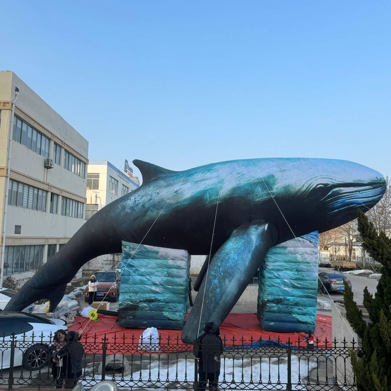 15m giant inflatable whale for event decoration - Aiyate