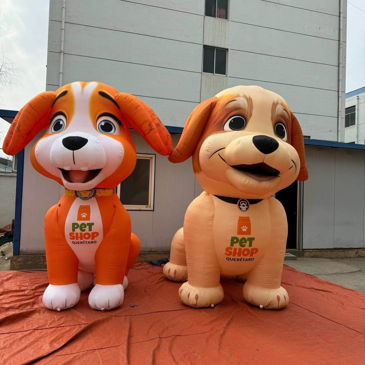 cute inflatable pet dogs inflatable dog cartoon - Aiyate